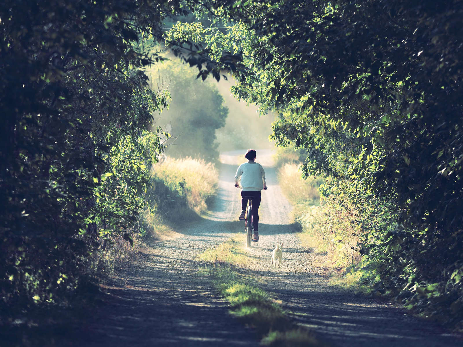 Composition Skills: Using Natural Framing To Guide The, 43% OFF Composition Skills: Using Natural Framing To Guide The, 43% OFF