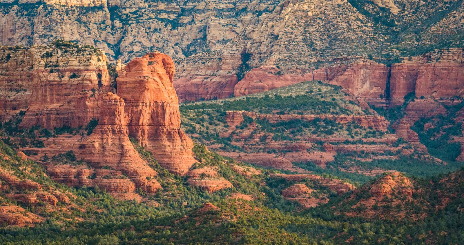 Sedona, Arizona Workshop with Educator Ledra Woodlee | OM SYSTEM