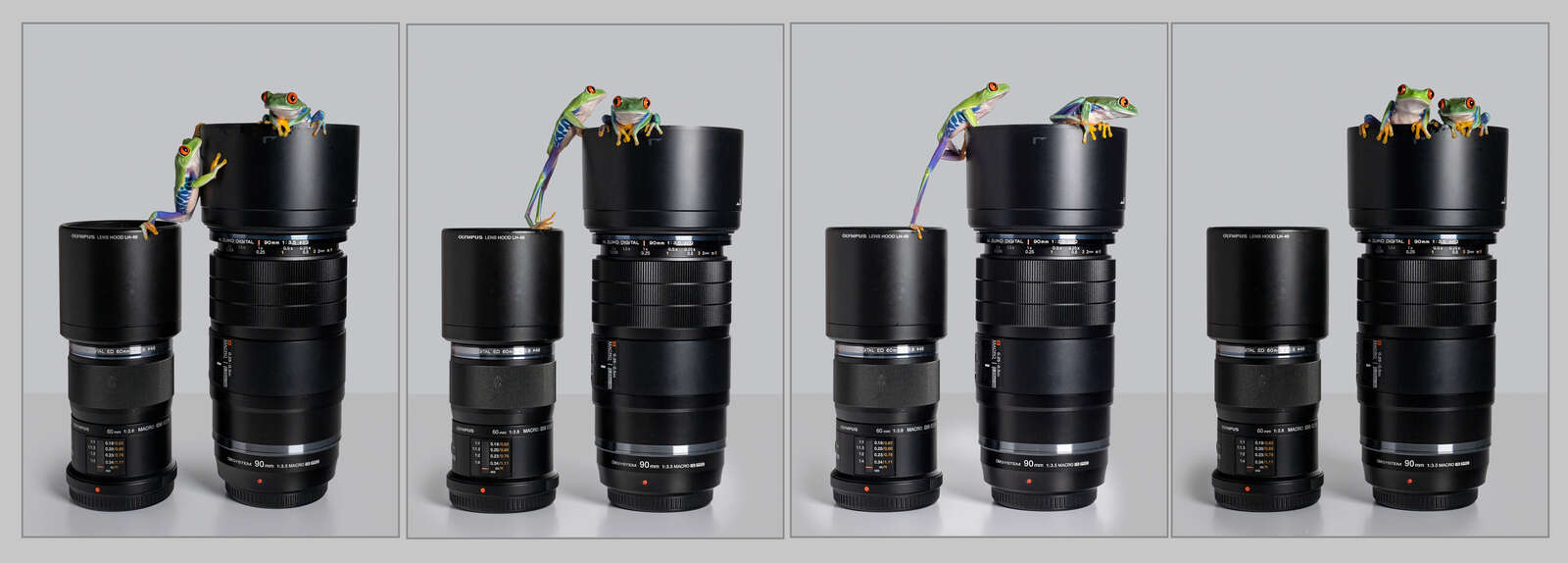 First Impression of the M.Zuiko ED 90mm F3.5 Macro IS PRO First Impression of the M.Zuiko ED 90mm F3.5 Macro IS PRO
