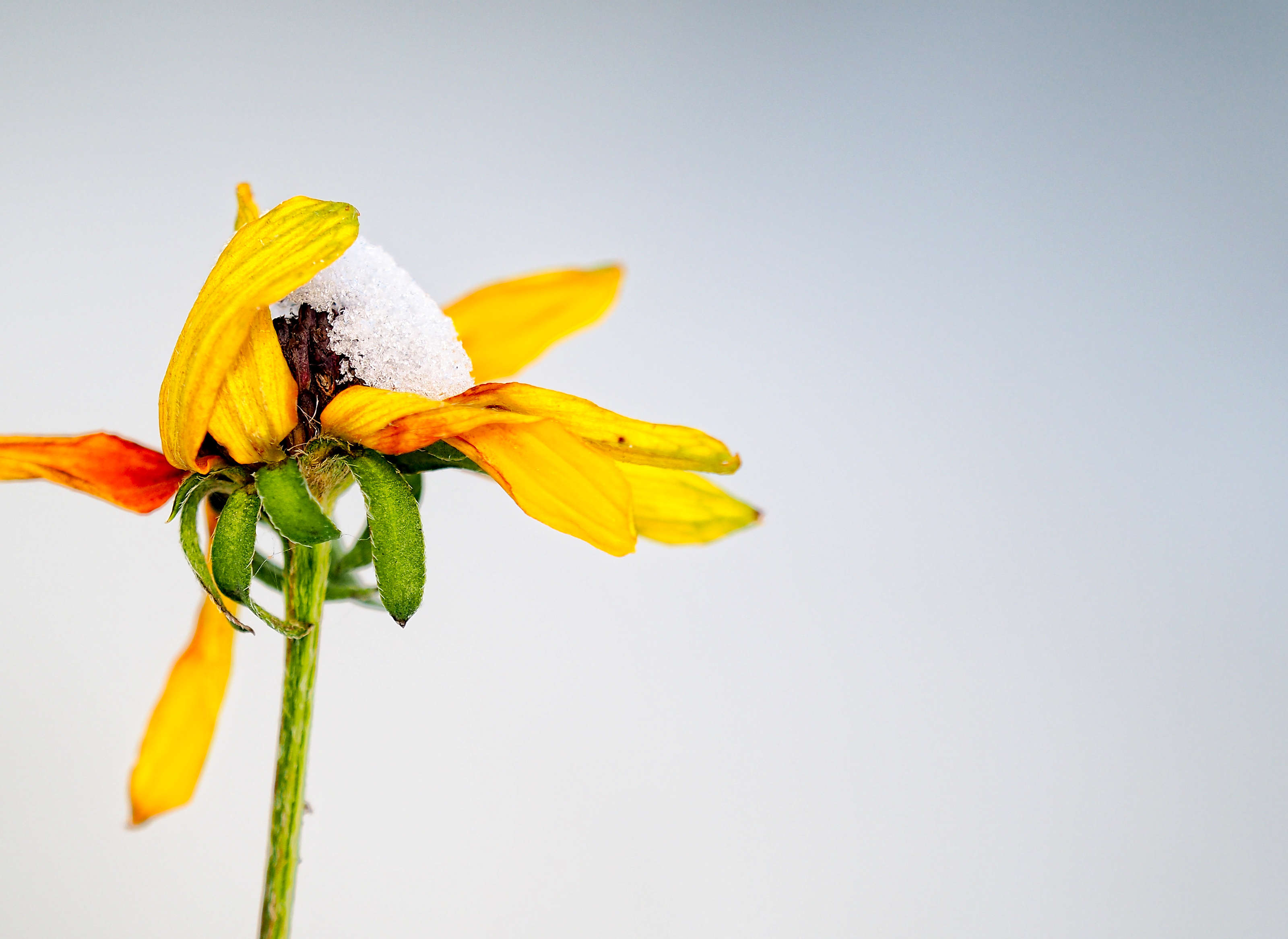 10 Tips to Make the Most of Your Winter Photography | OM SYSTEM