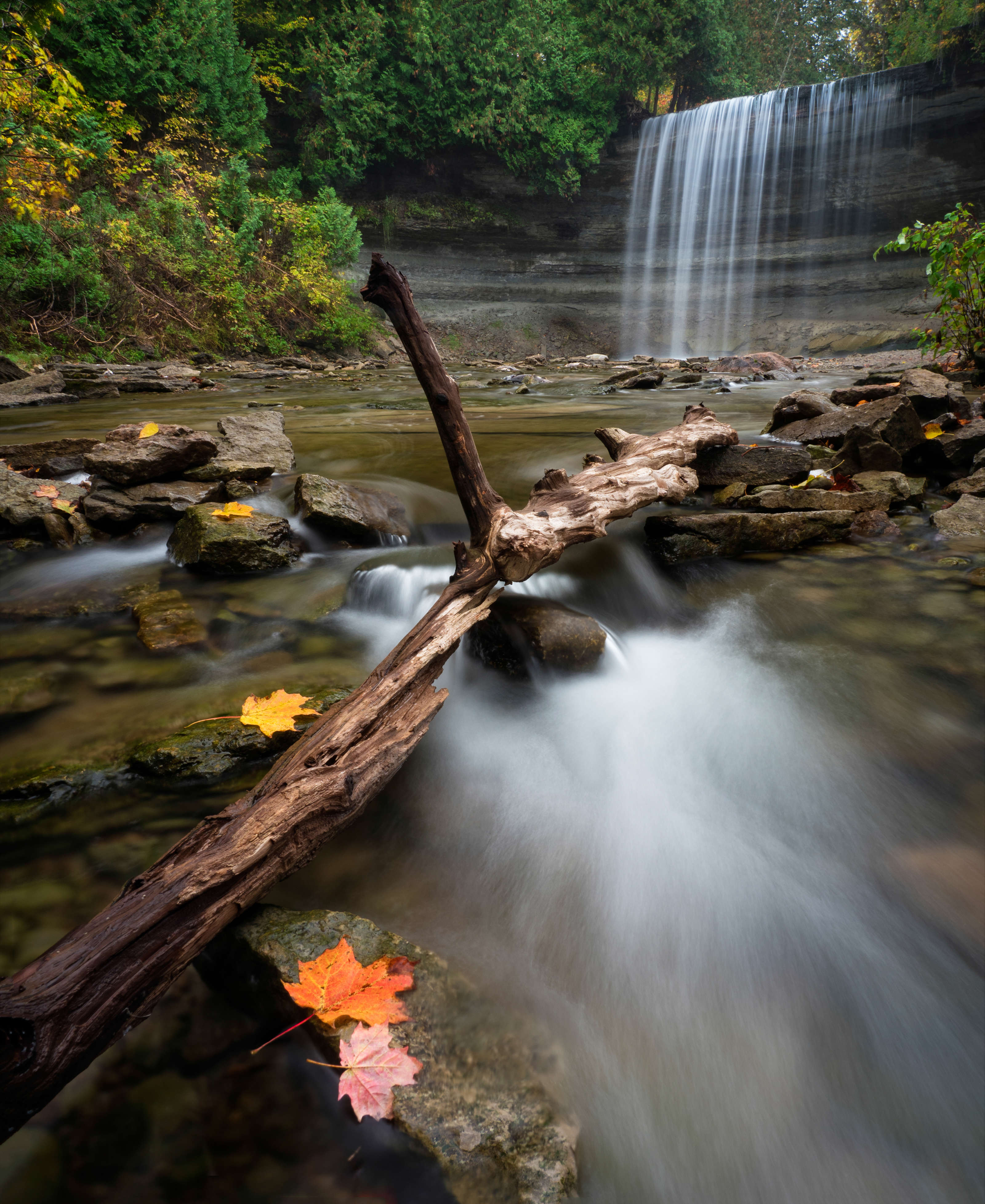 Using Focus Bracketing and Stacking in Landscape Photography | OM SYSTEM