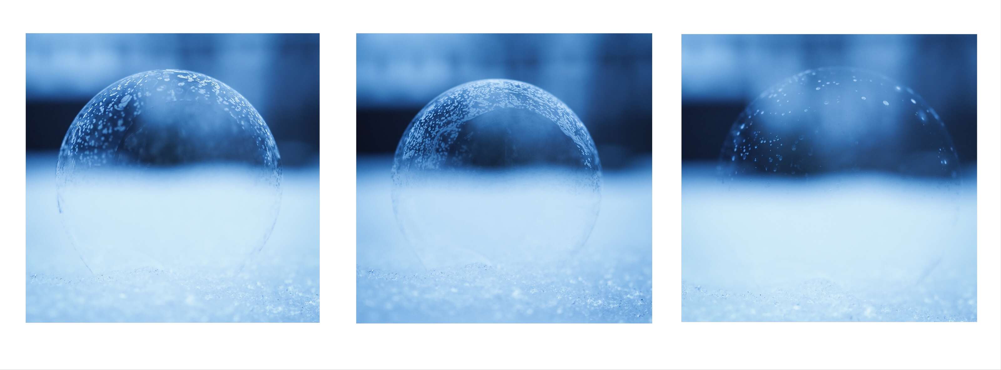 Ice Globes: Photographing Frozen Bubbles | OM SYSTEM