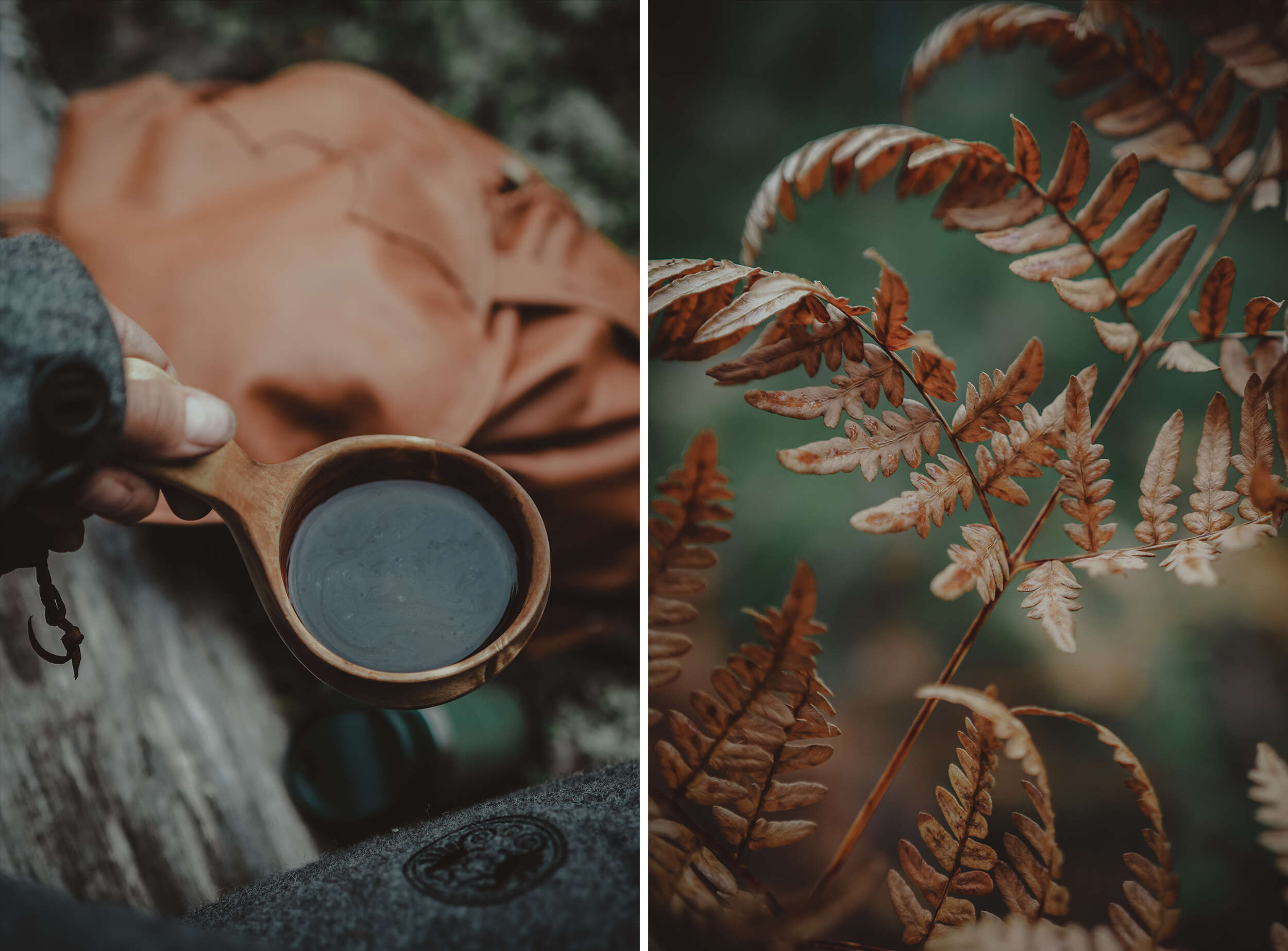 OM-5: My Camera is My Travel Companion | OM SYSTEM