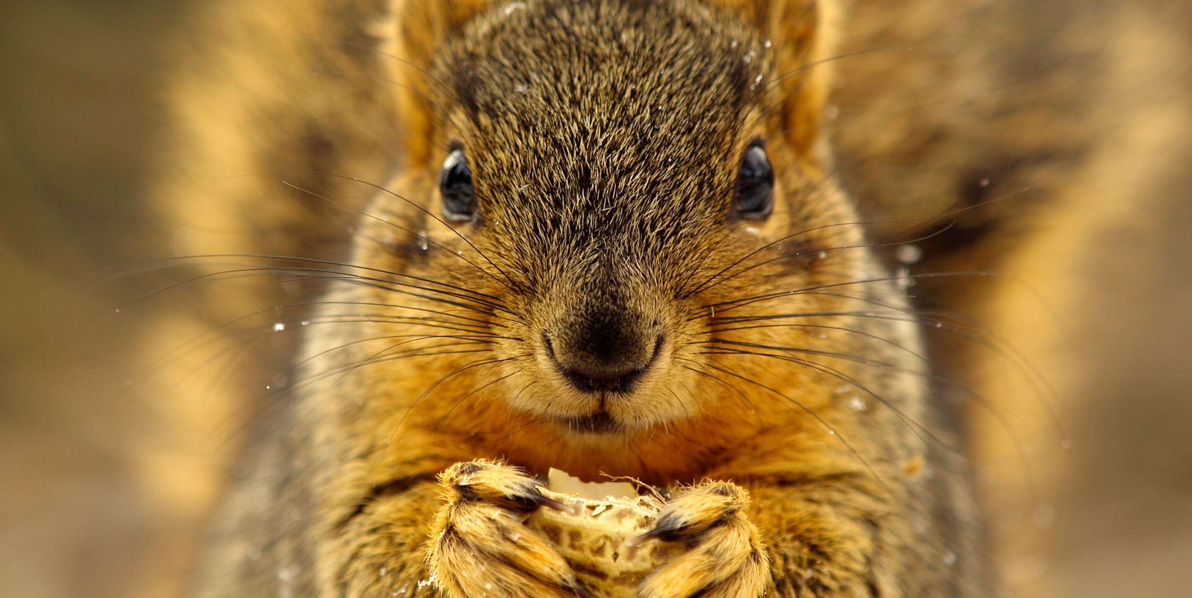 11 Tips for Capturing Spring | OM SYSTEM