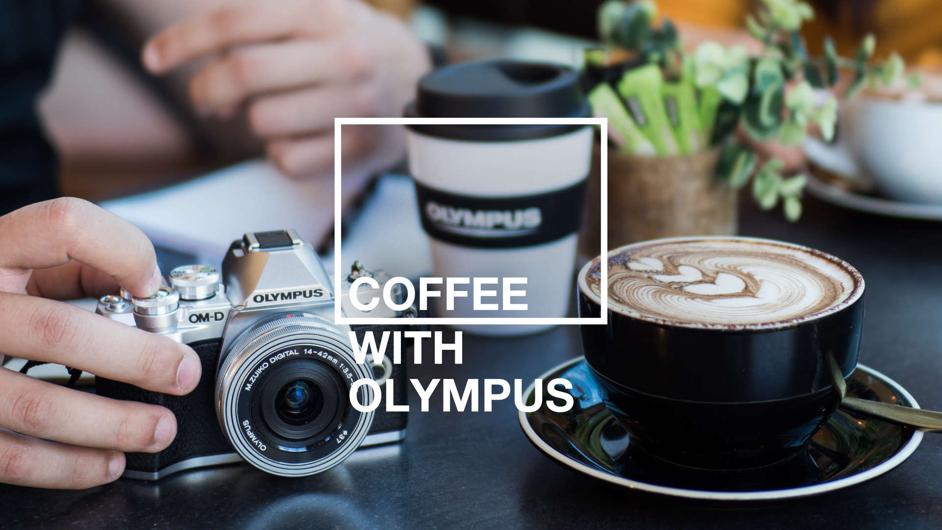 Coffee with Olympus: Step Into Landscape | OM SYSTEM