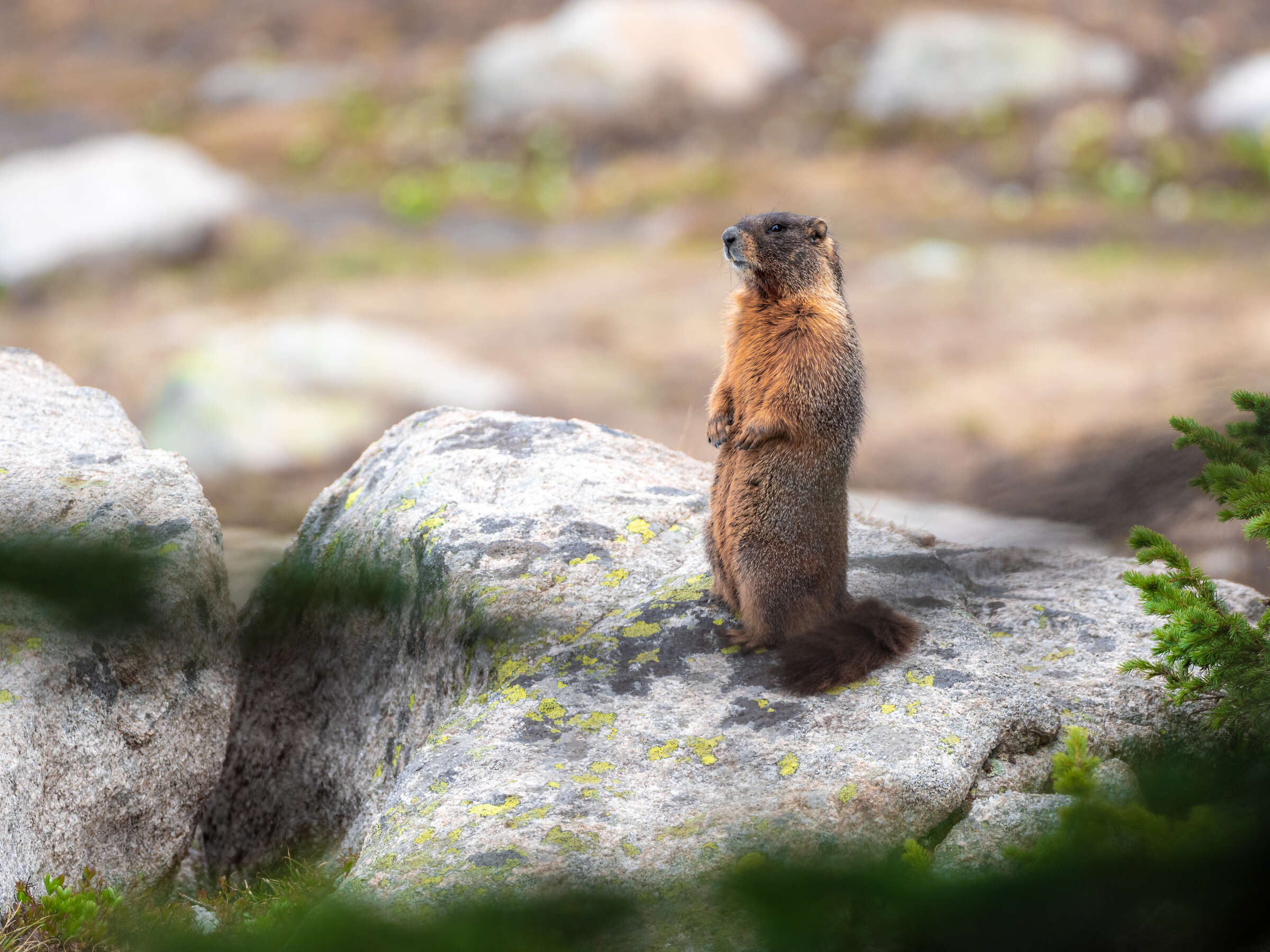 Getting Started with Olympus | OM SYSTEM