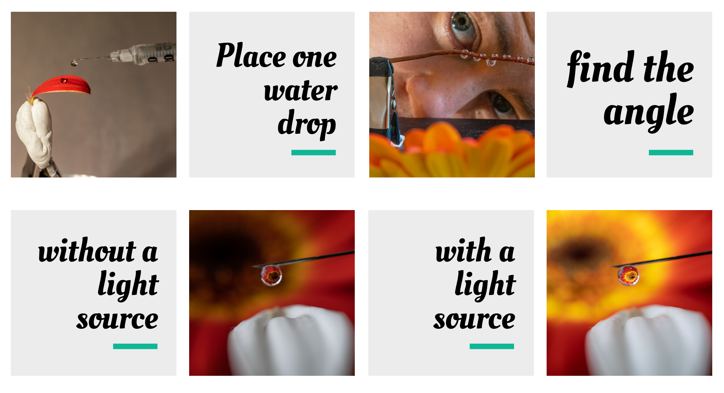 Capturing Refraction Photography | OM SYSTEM