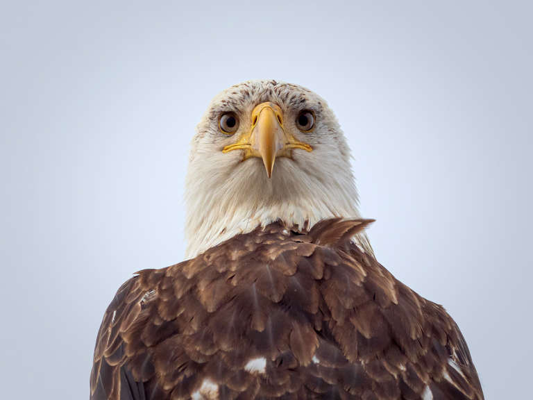 PRO STORIES: ANDREW DESIDERIO | OM SYSTEM