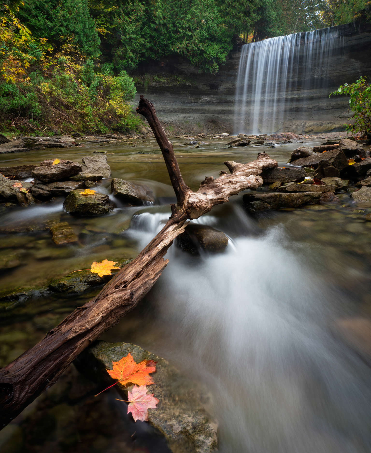 Using Focus Bracketing and Stacking in Landscape Photography | OM SYSTEM