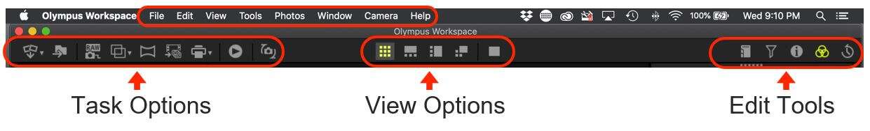 OM Workspace: A Beginner's Guide | OM SYSTEM