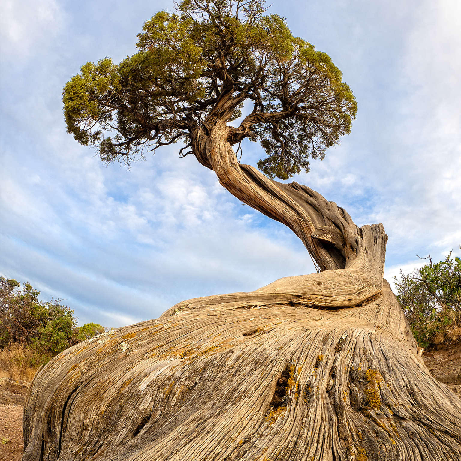 Using Natural Frames to Improve Your Composition | OM SYSTEM