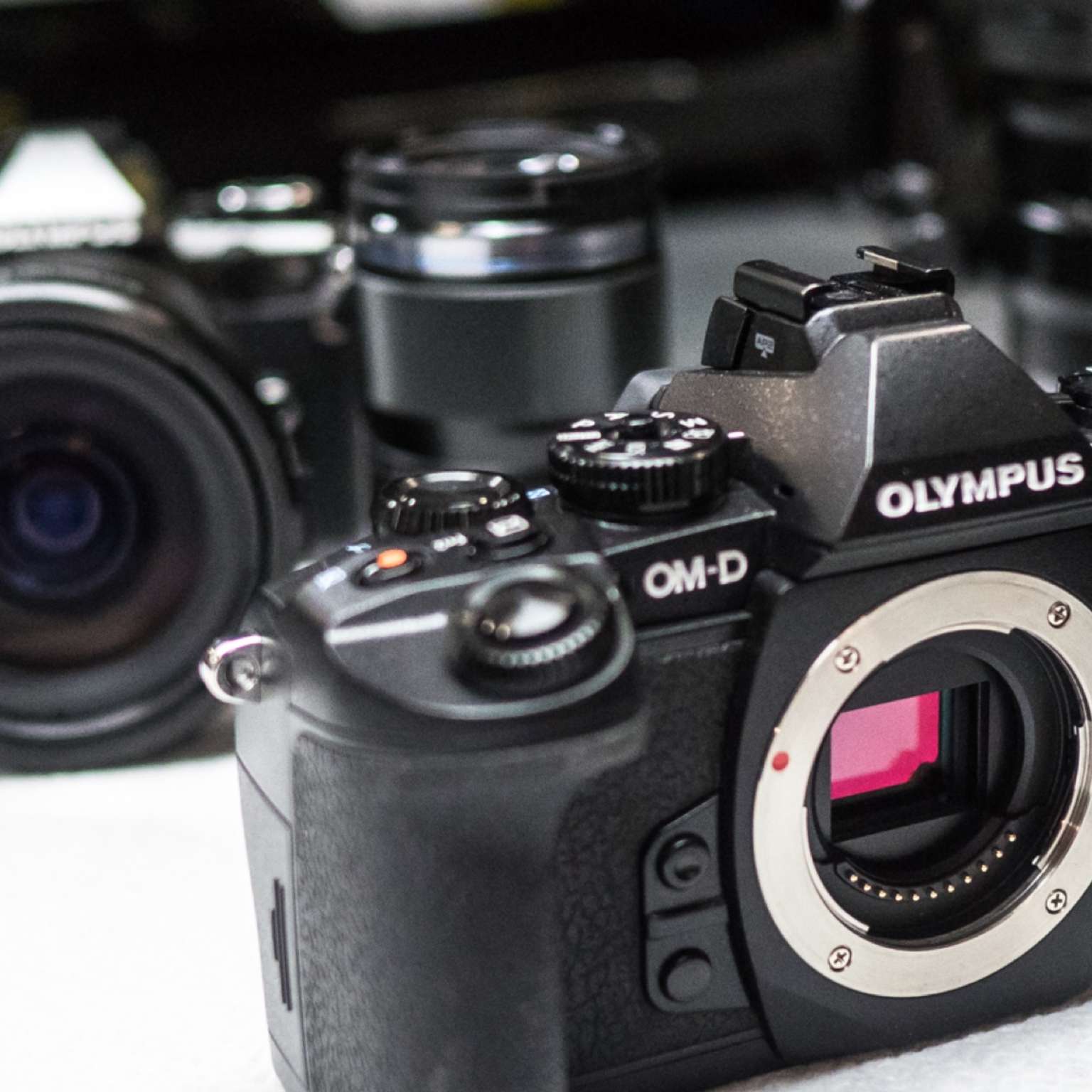 Thanks for Entering: Olympus Explorer Giveaway | OM SYSTEM