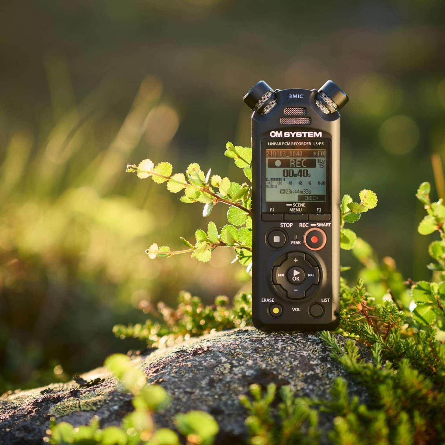 AUDIO CAPTURE | Olympus