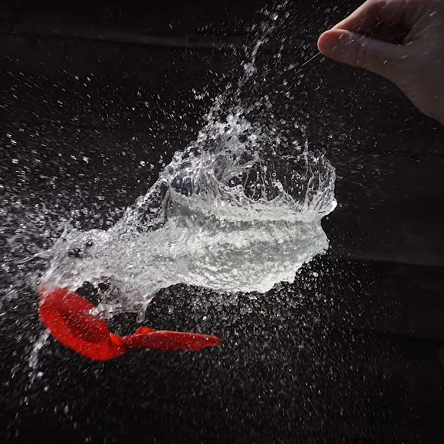 Pro Capture Mode | OM SYSTEM