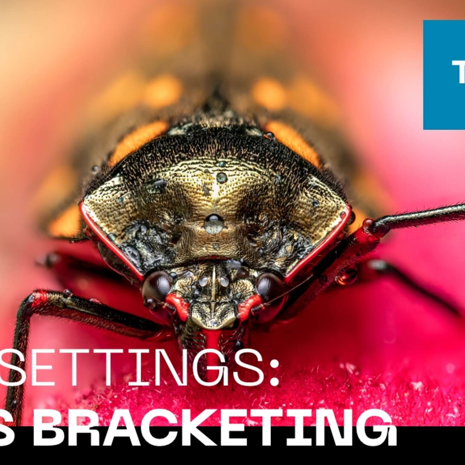 Focus Bracketing & Stacking | OM SYSTEM