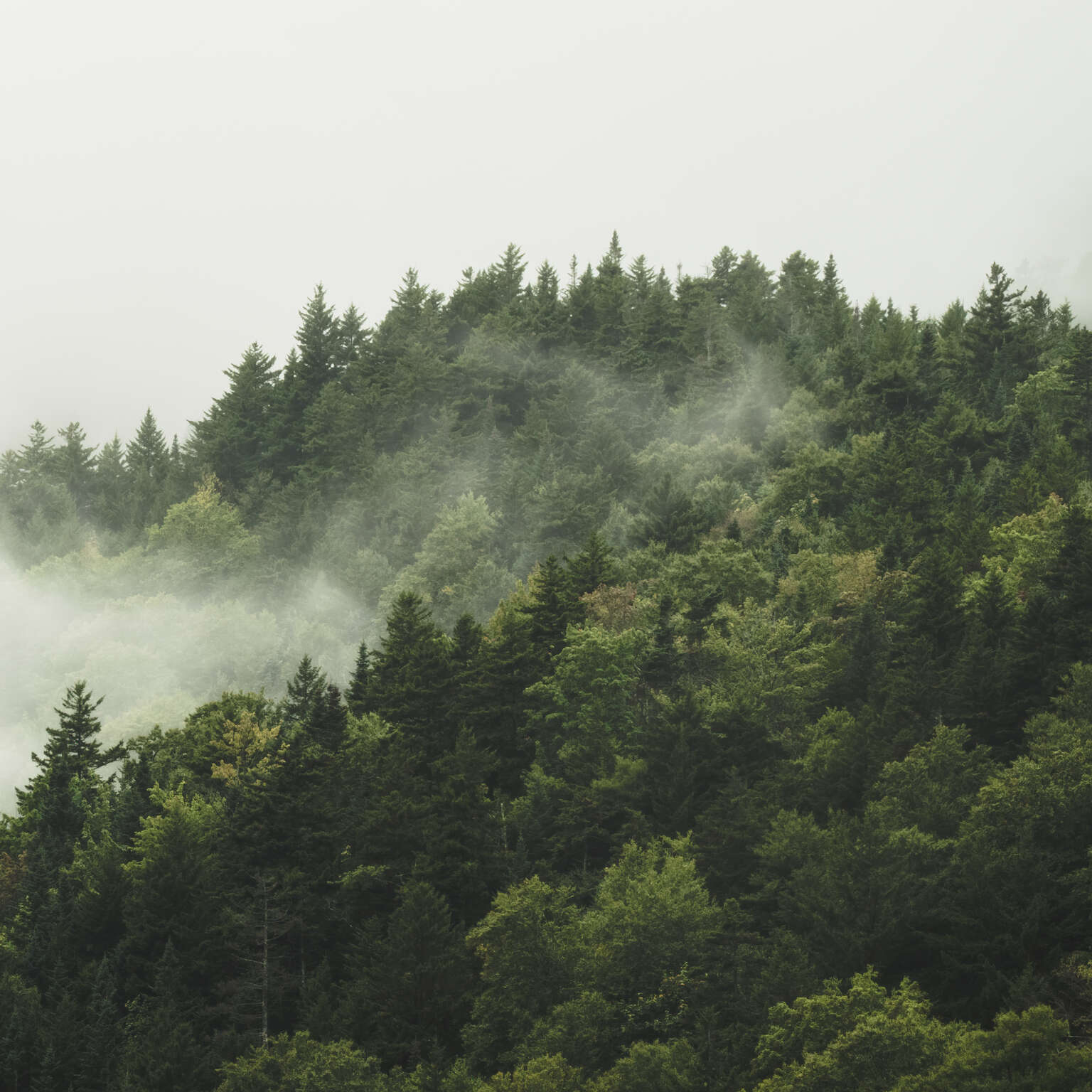 LANDSCAPES & NATURE | OM SYSTEM