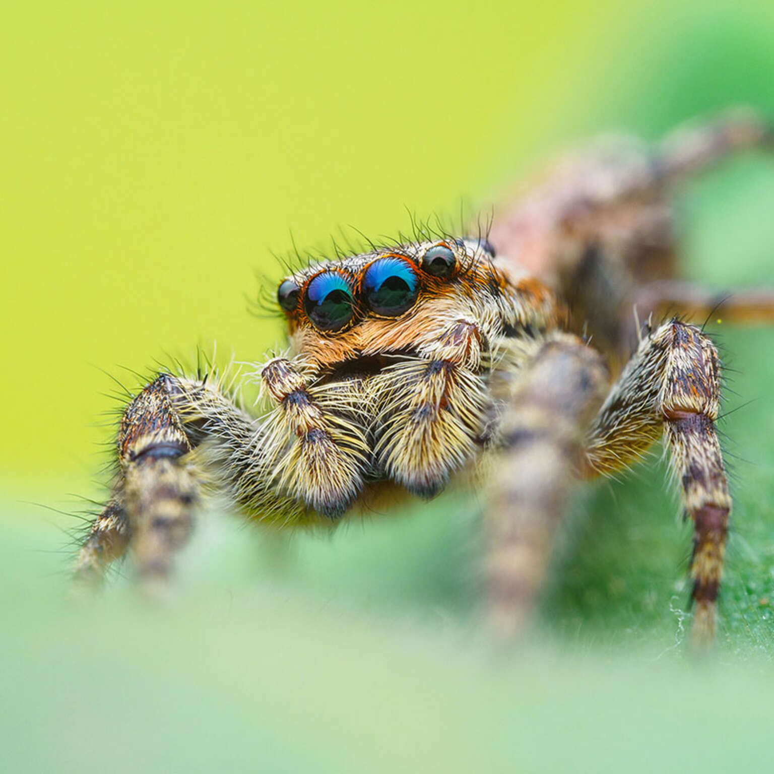 PHOTO TIPS | Olympus