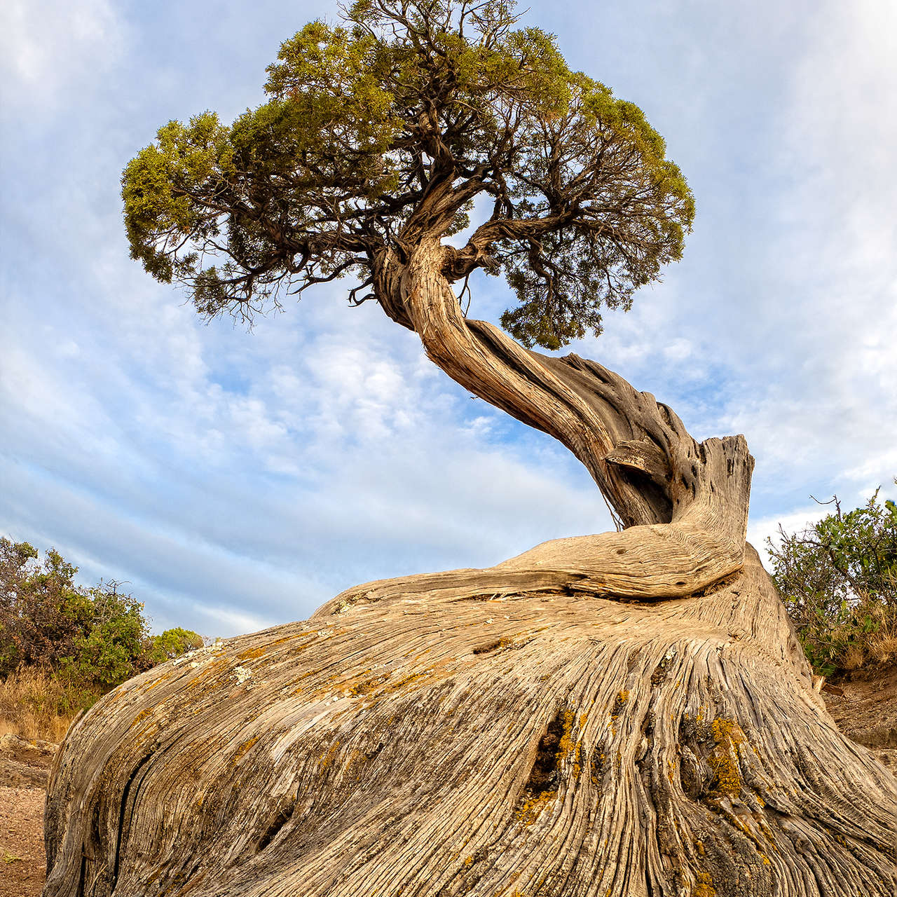 FOCUS STACKING & BRACKETING WITH OM-D | OM SYSTEM