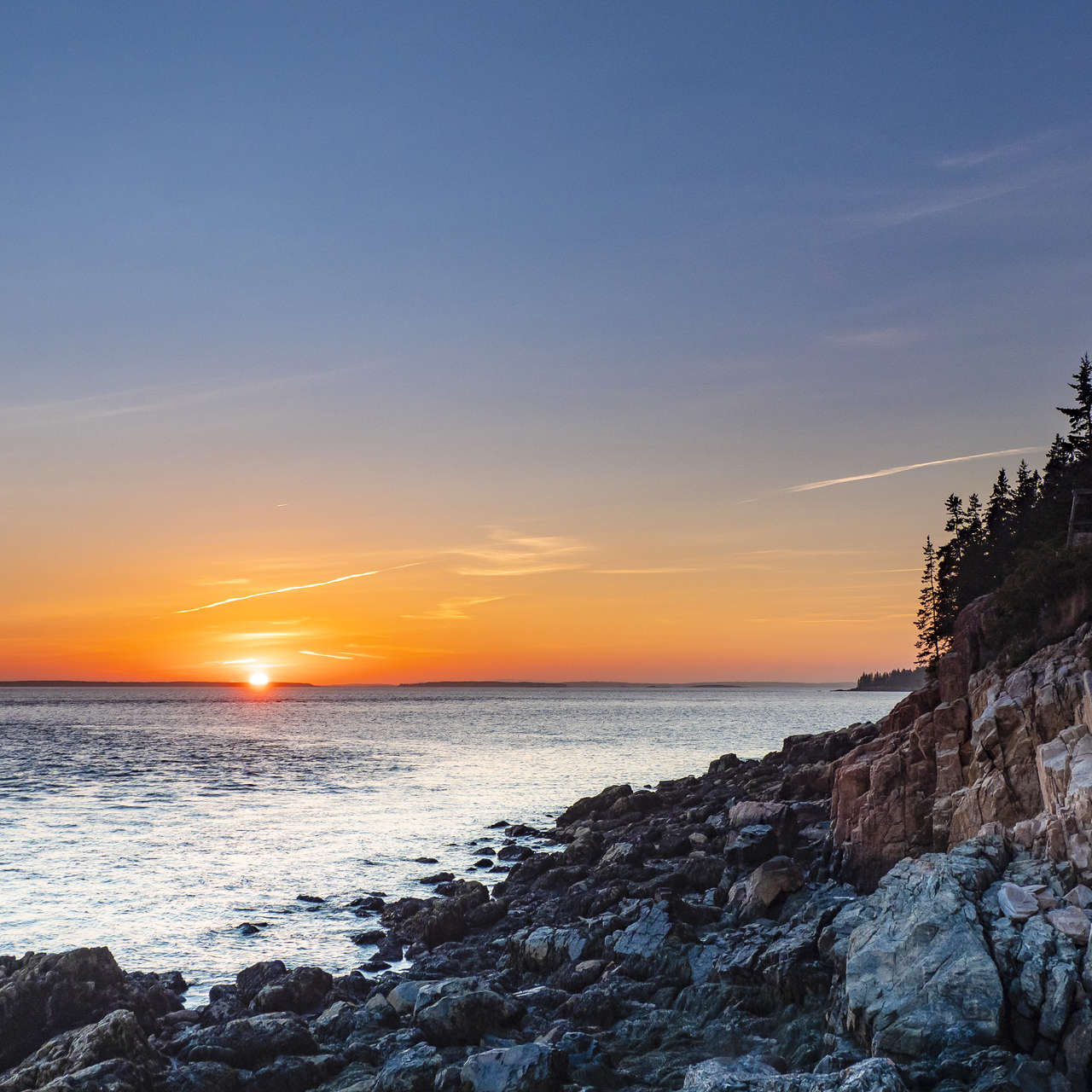 ABOUT ALEX MCCLURE | OM SYSTEM