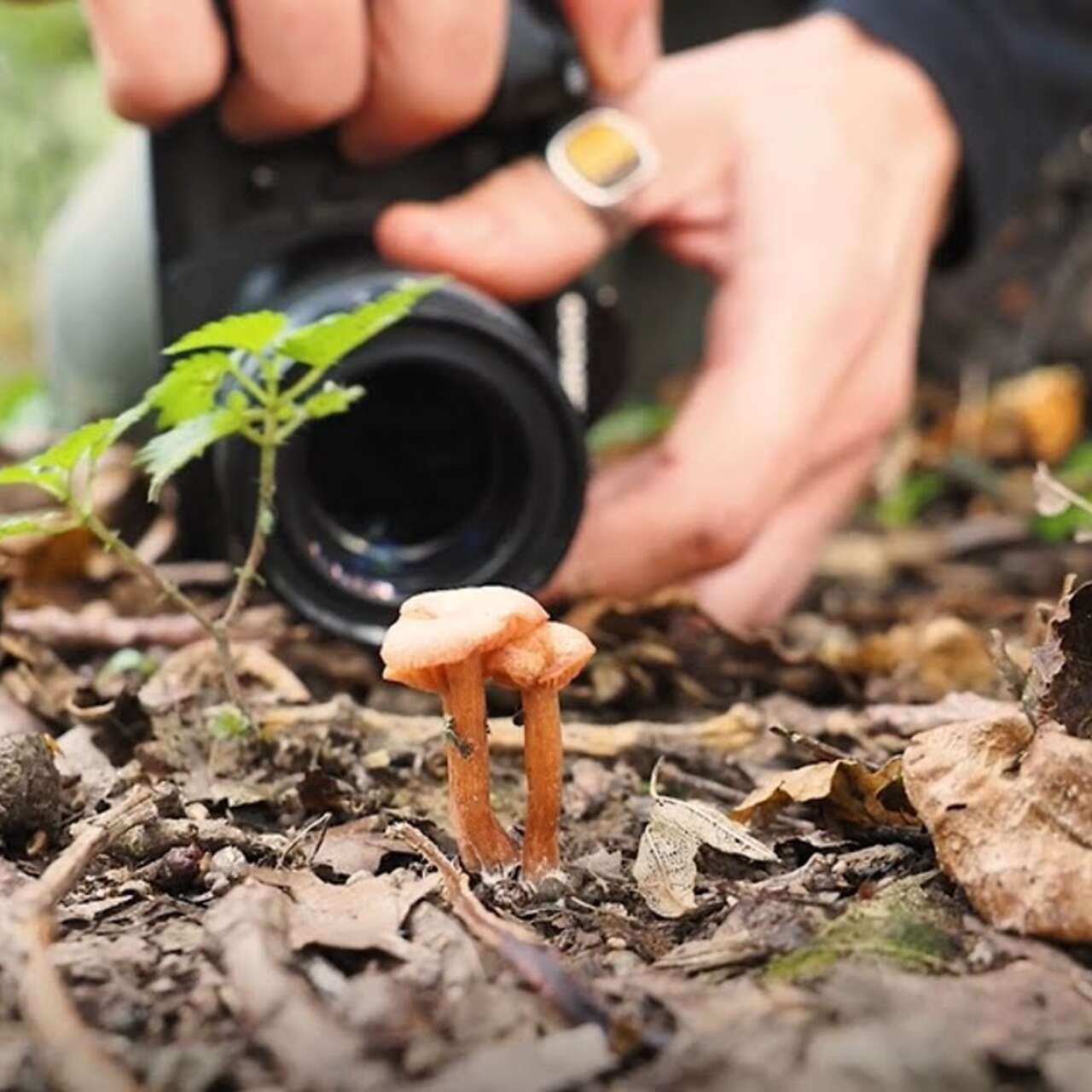 Geraint Radford | OM SYSTEM