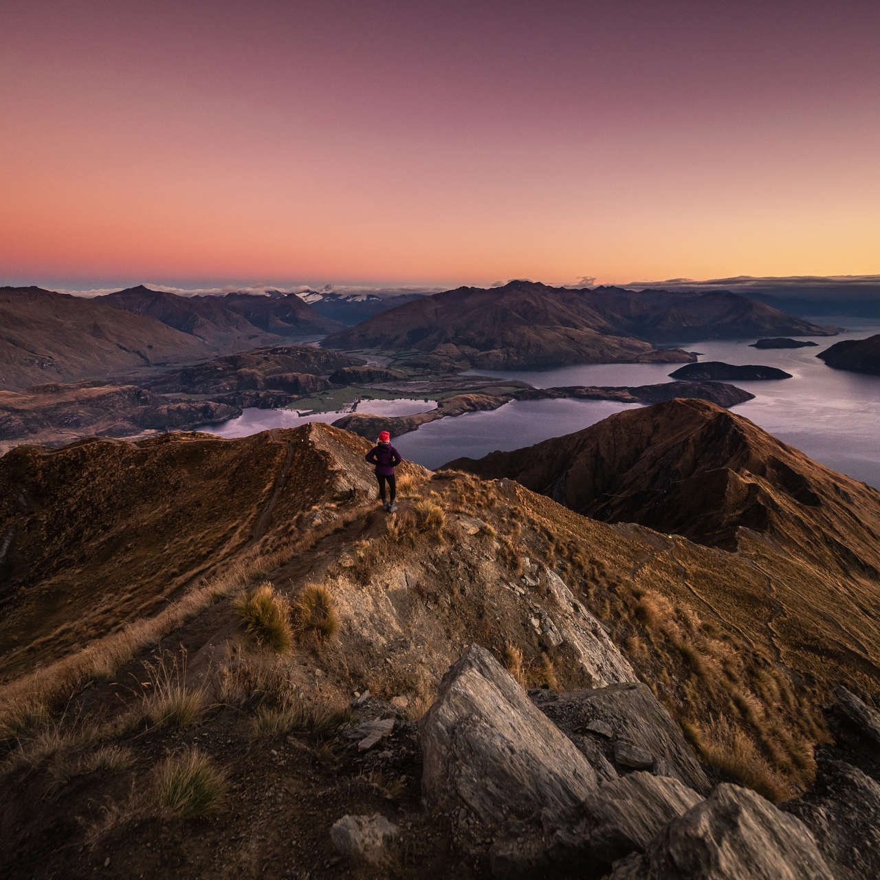 ABOUT SARAH GALLO | Olympus