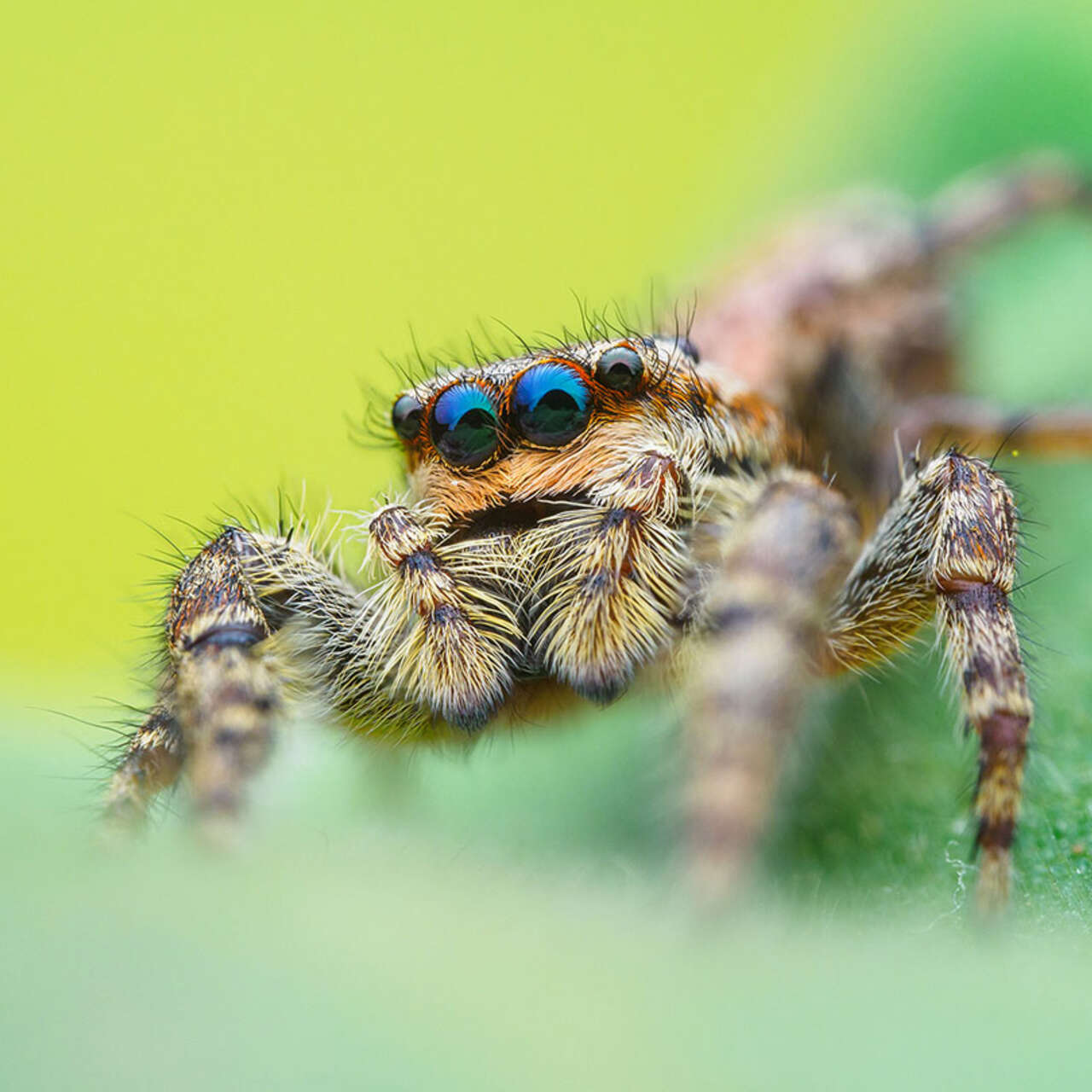 OM-5 – The Optimal Outdoor Adventure Camera | OM SYSTEM