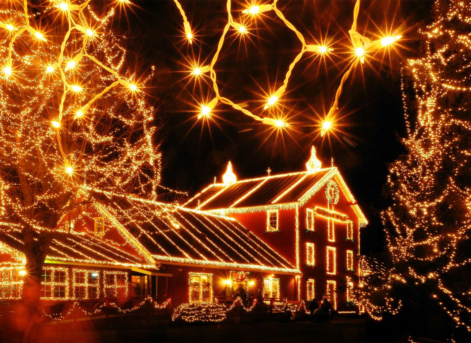 5 Tips for Capturing Christmas Lights | OM SYSTEM