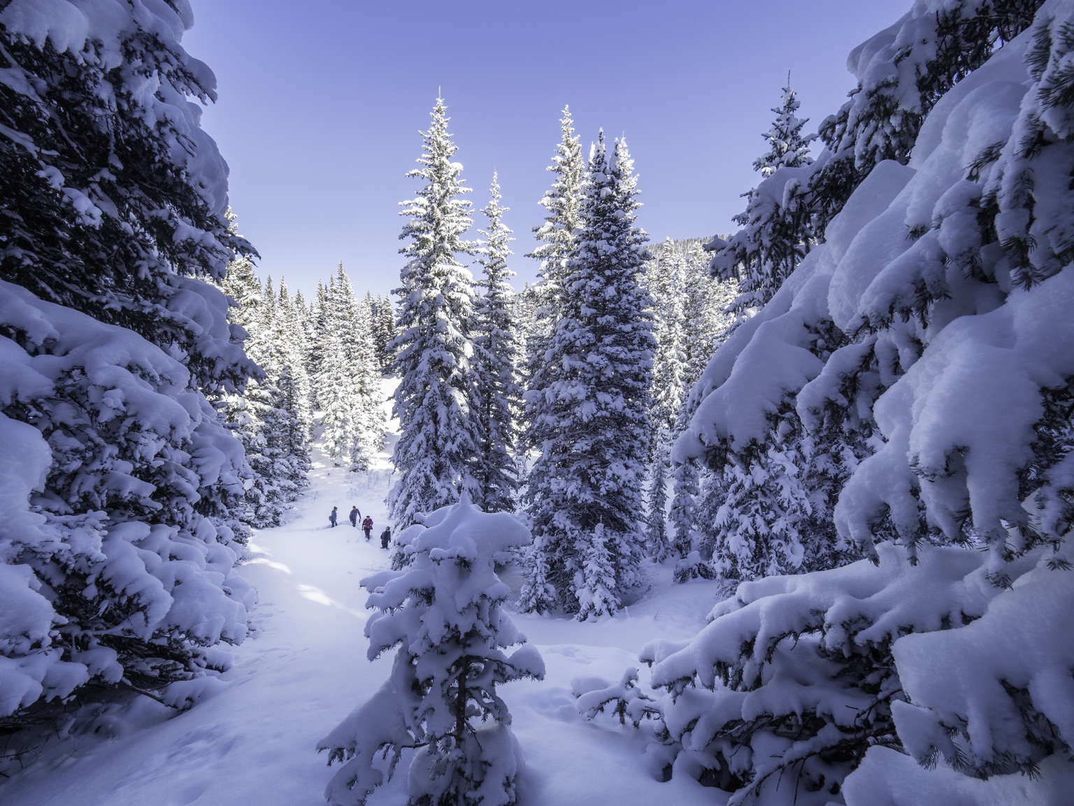 10 Tips to Improve Your Winter Compositions | OM SYSTEM