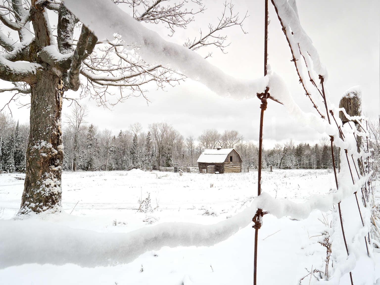 Using Natural Frames to Improve Your Composition | OM SYSTEM