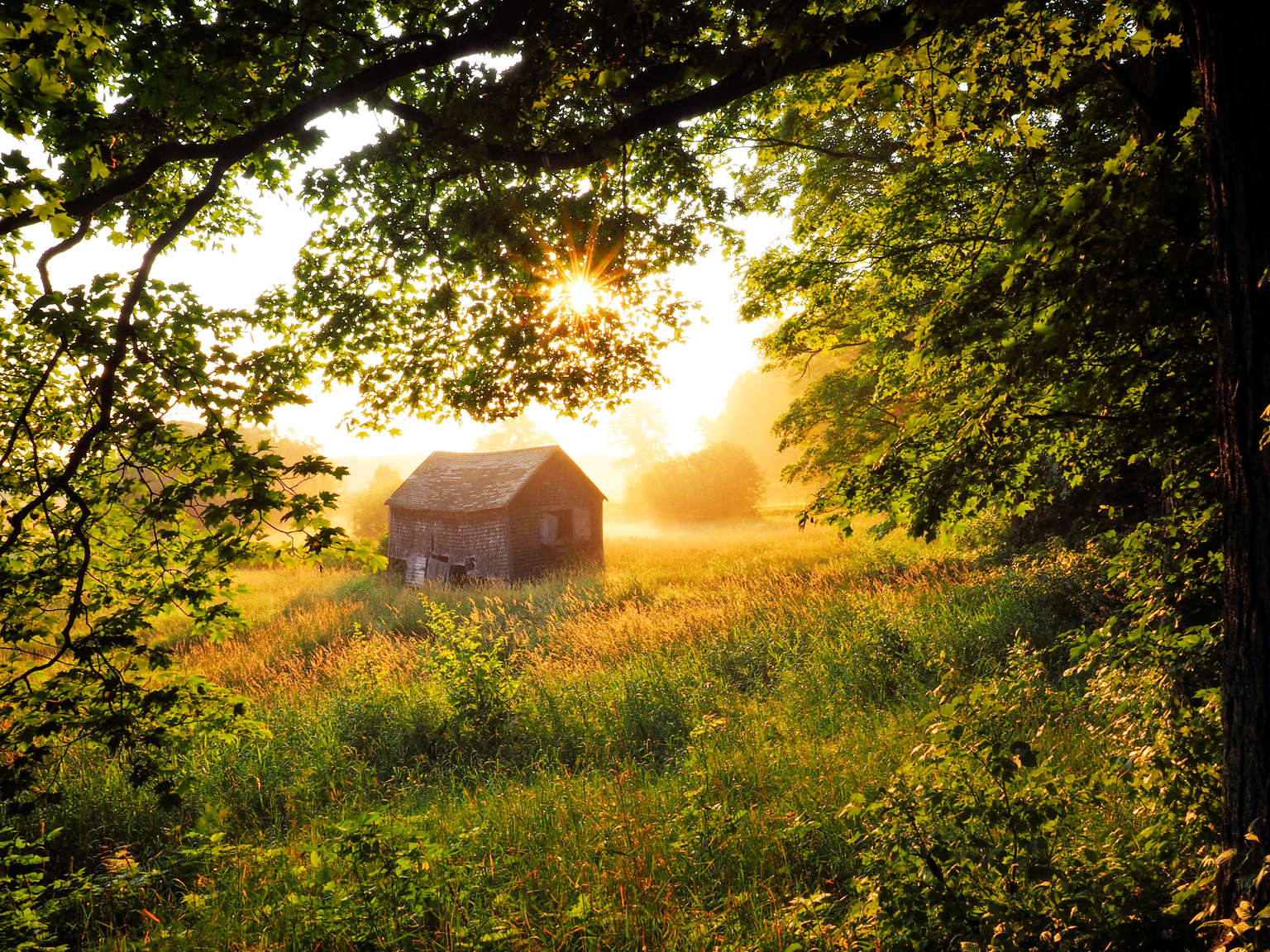 Using Natural Frames to Improve Your Composition | OM SYSTEM