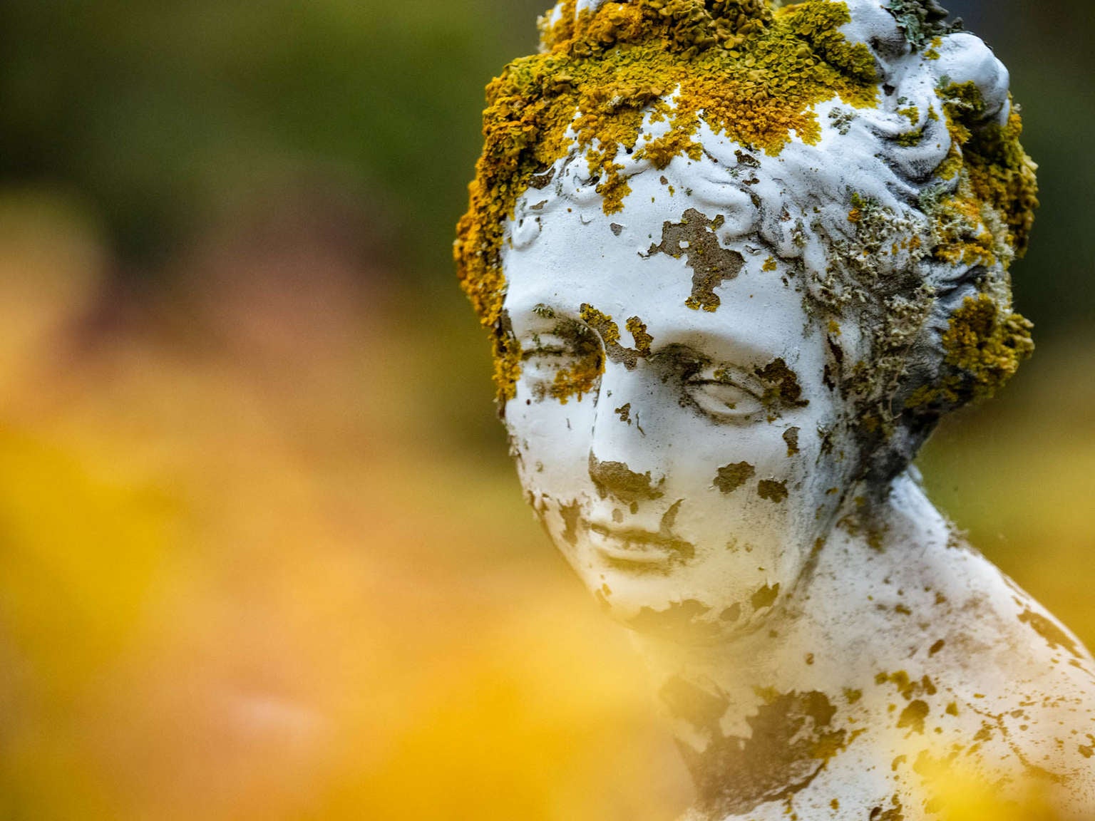 Using Natural Frames to Improve Your Composition | OM SYSTEM