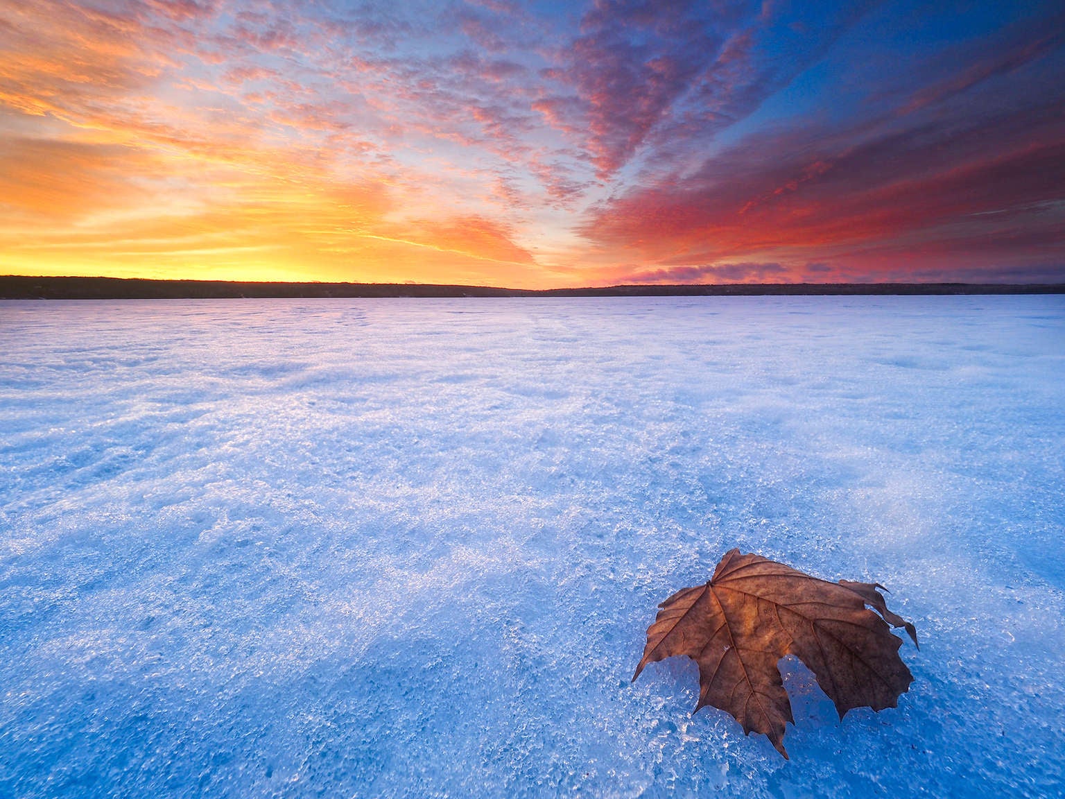 Using Focus Bracketing and Stacking in Landscape Photography | OM SYSTEM