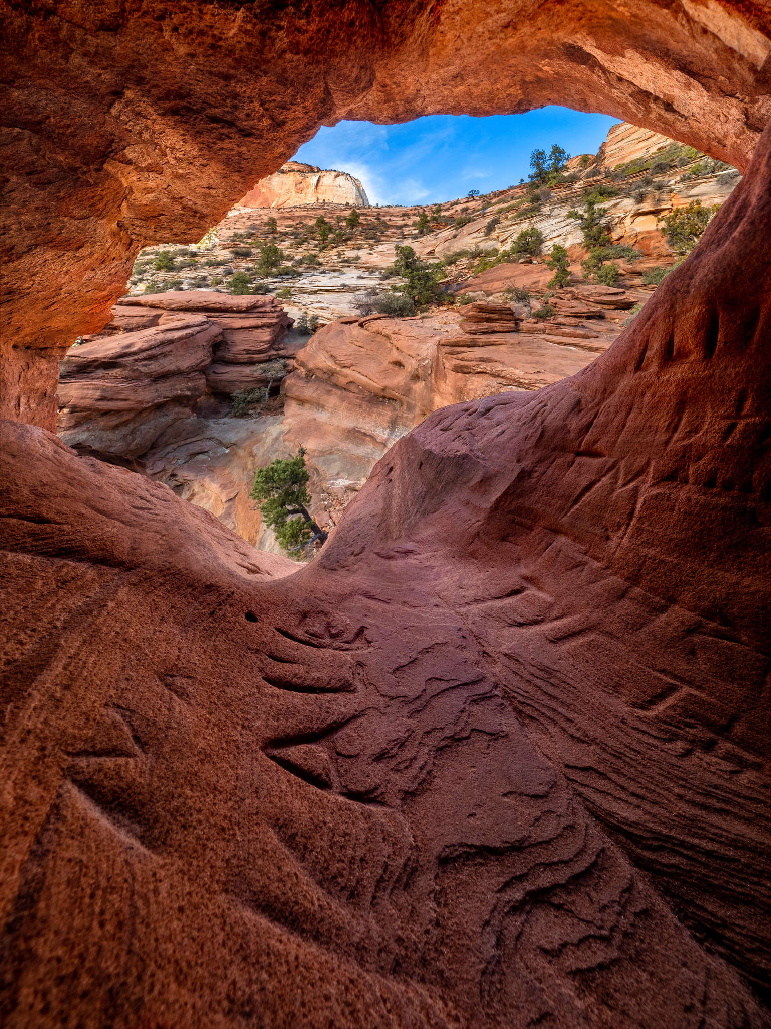 Using Focus Bracketing and Stacking in Landscape Photography | OM SYSTEM