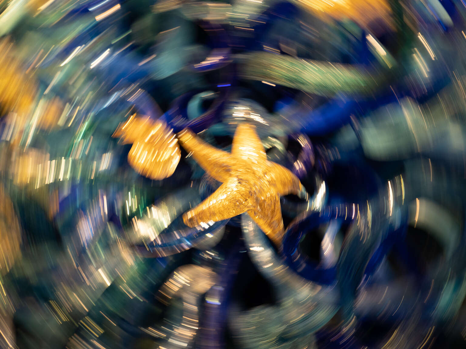Shake, Twist, Zoom and Pan: Intentional Camera Movement with Olympus ...
