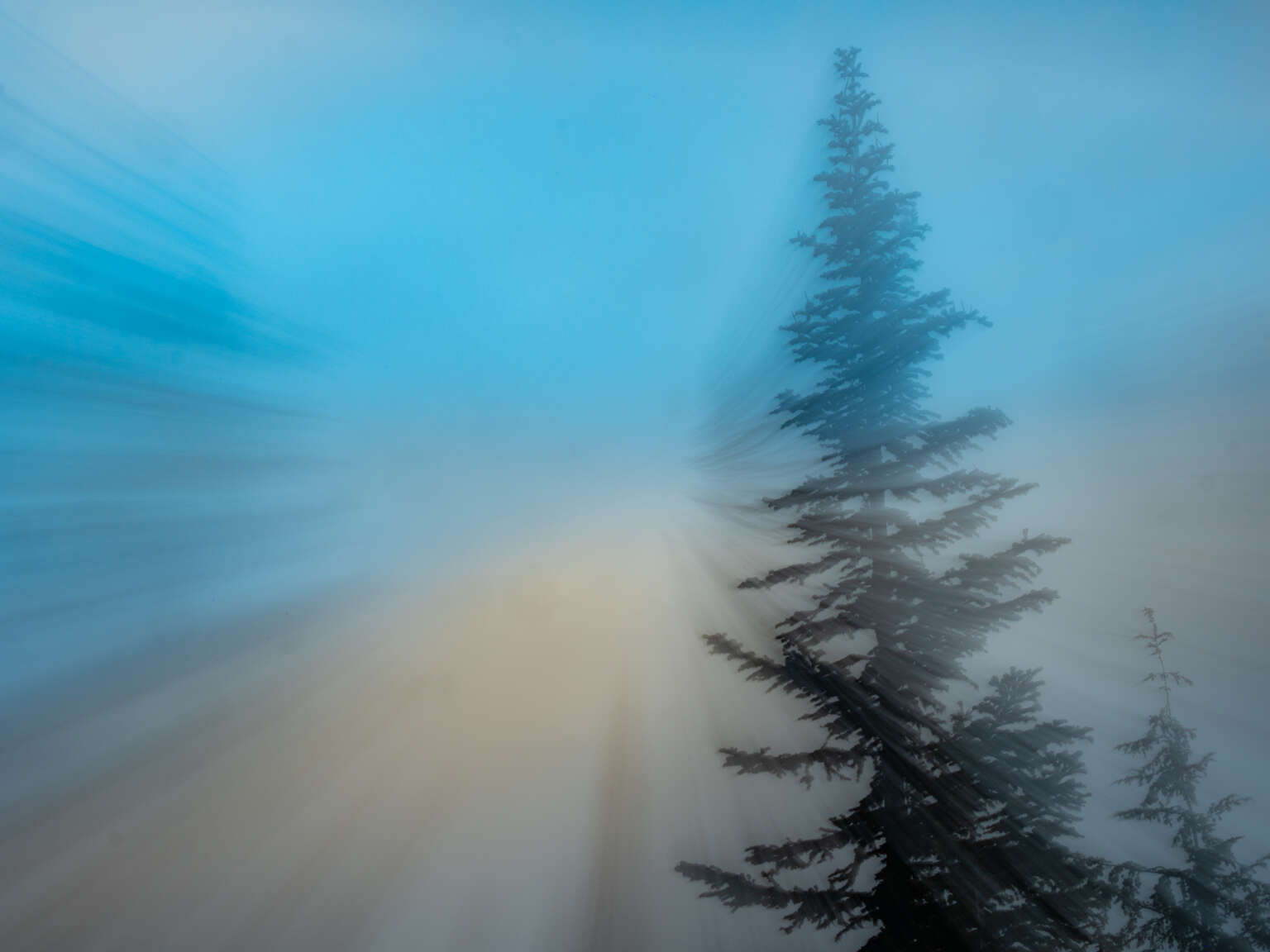 Shake, Twist, Zoom and Pan: Intentional Camera Movement with Olympus ...