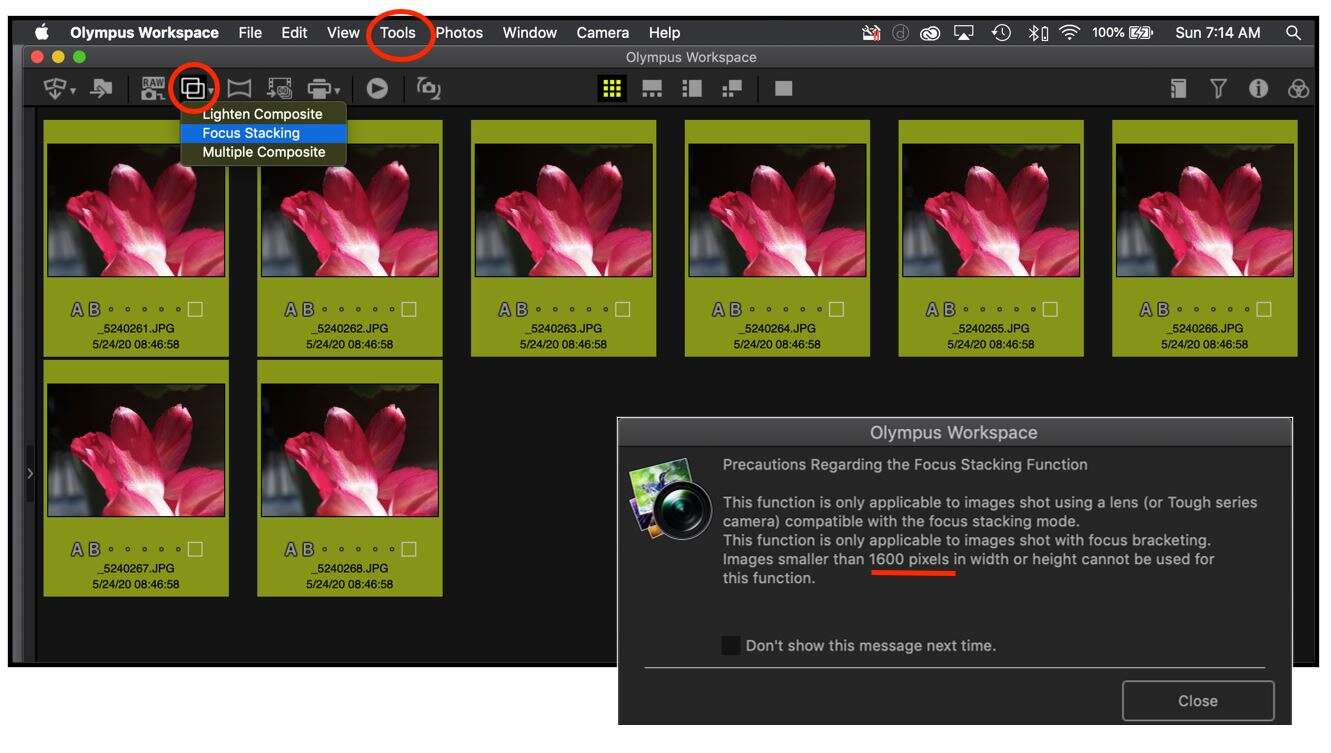 OM Workspace: A Beginner's Guide | OM SYSTEM