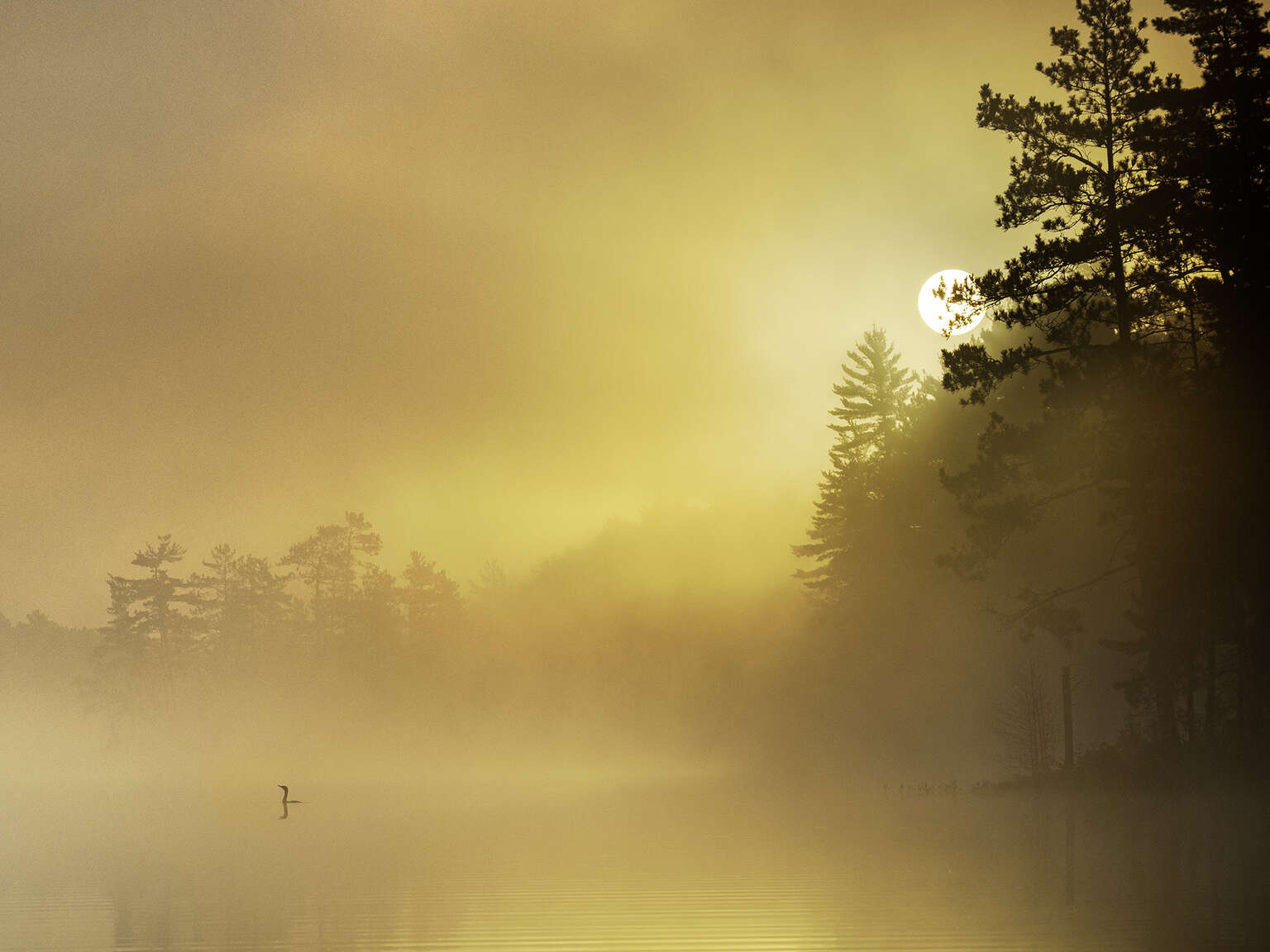 Telephoto Landscapes: Why You Should Use a Telephoto Lens in your ...