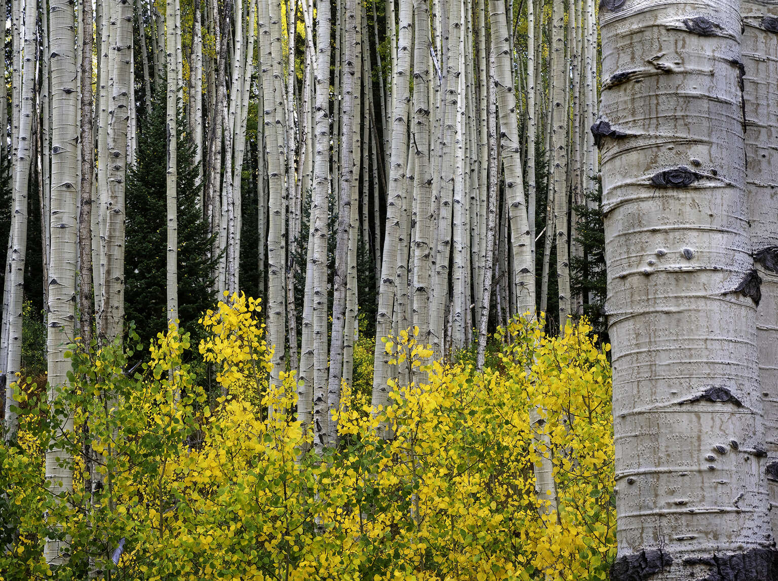 Telephoto Landscapes: Why You Should Use a Telephoto Lens in your ...