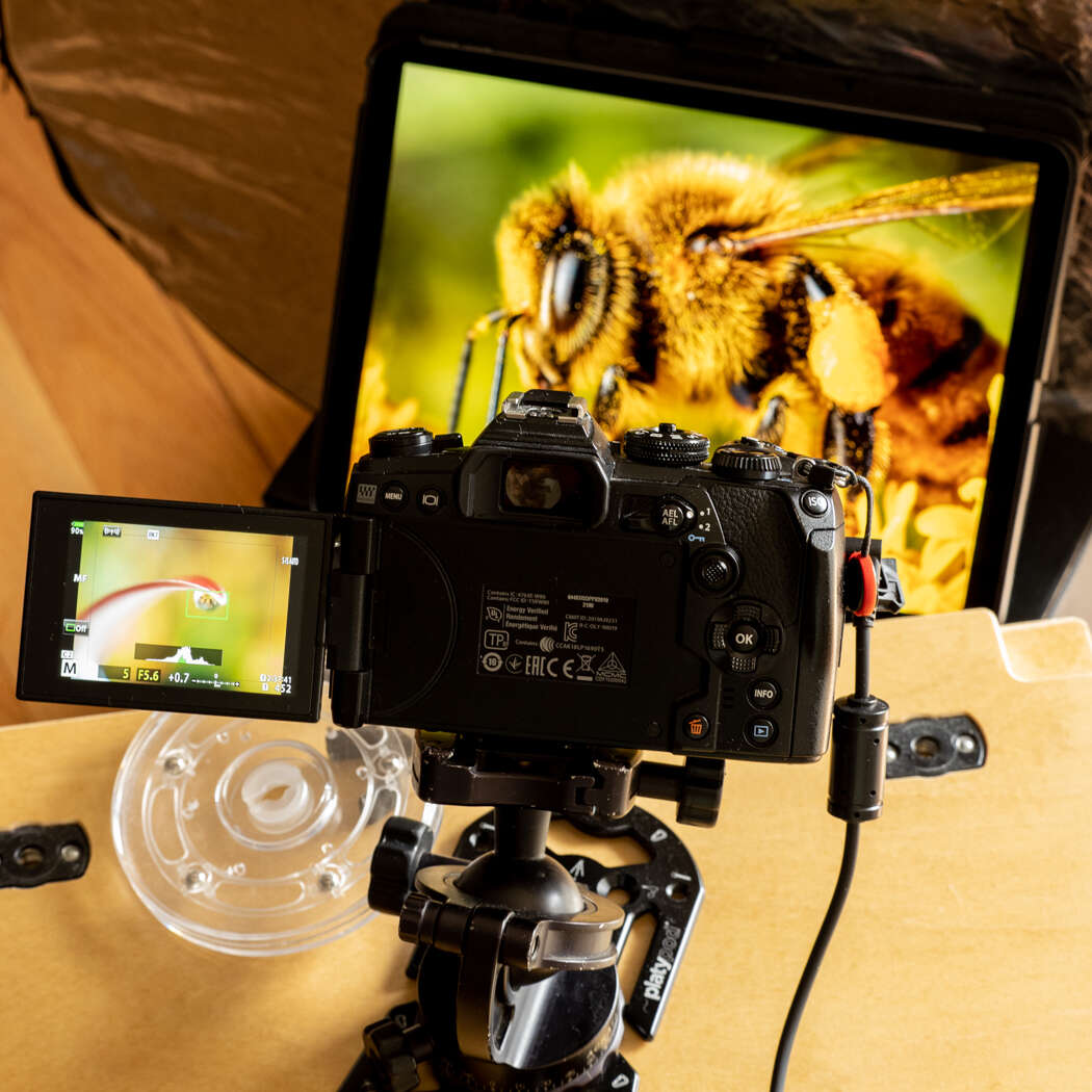 Capturing Refraction Photography | Olympus