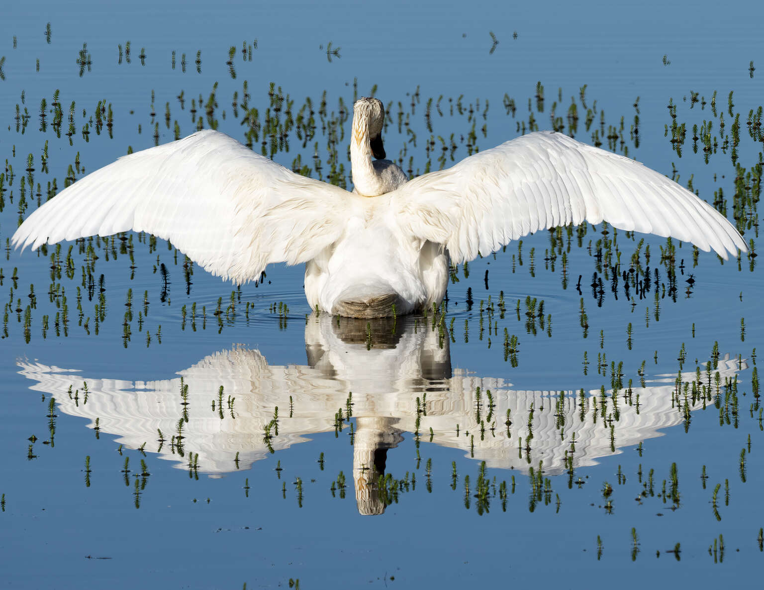 On the Road Again with OM SYSTEM Features | OM SYSTEM