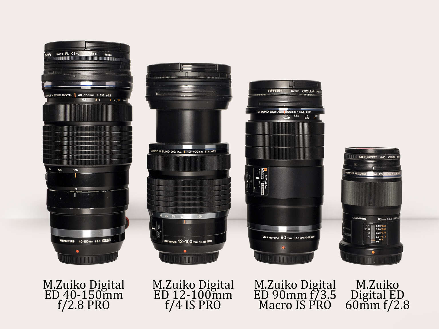 First Impression of the M.Zuiko ED 90mm F3.5 Macro IS PRO | OM SYSTEM