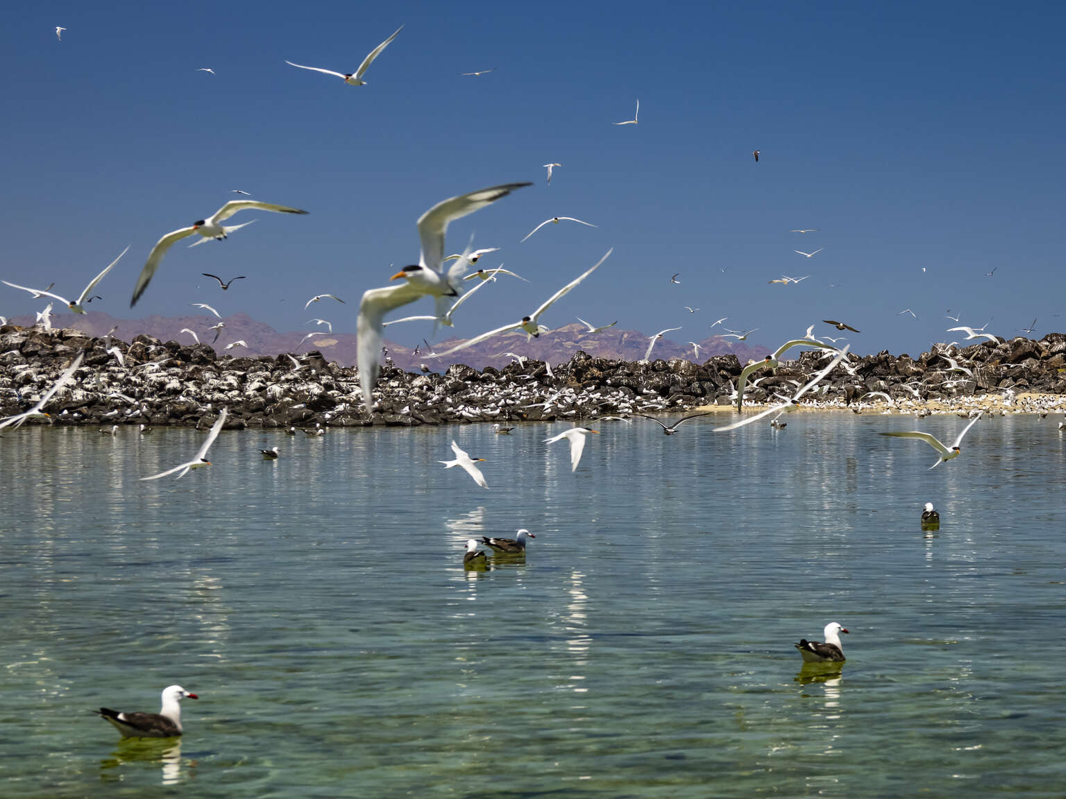 Every Day is Earth Day | OM SYSTEM