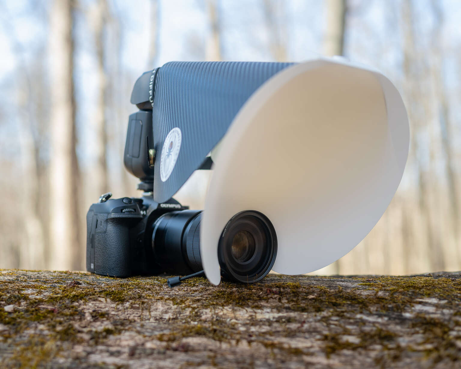 Leveraging the Capabilities of the M.Zuiko Digital ED 90mm F3.5 Macro IS PRO | OM SYSTEM