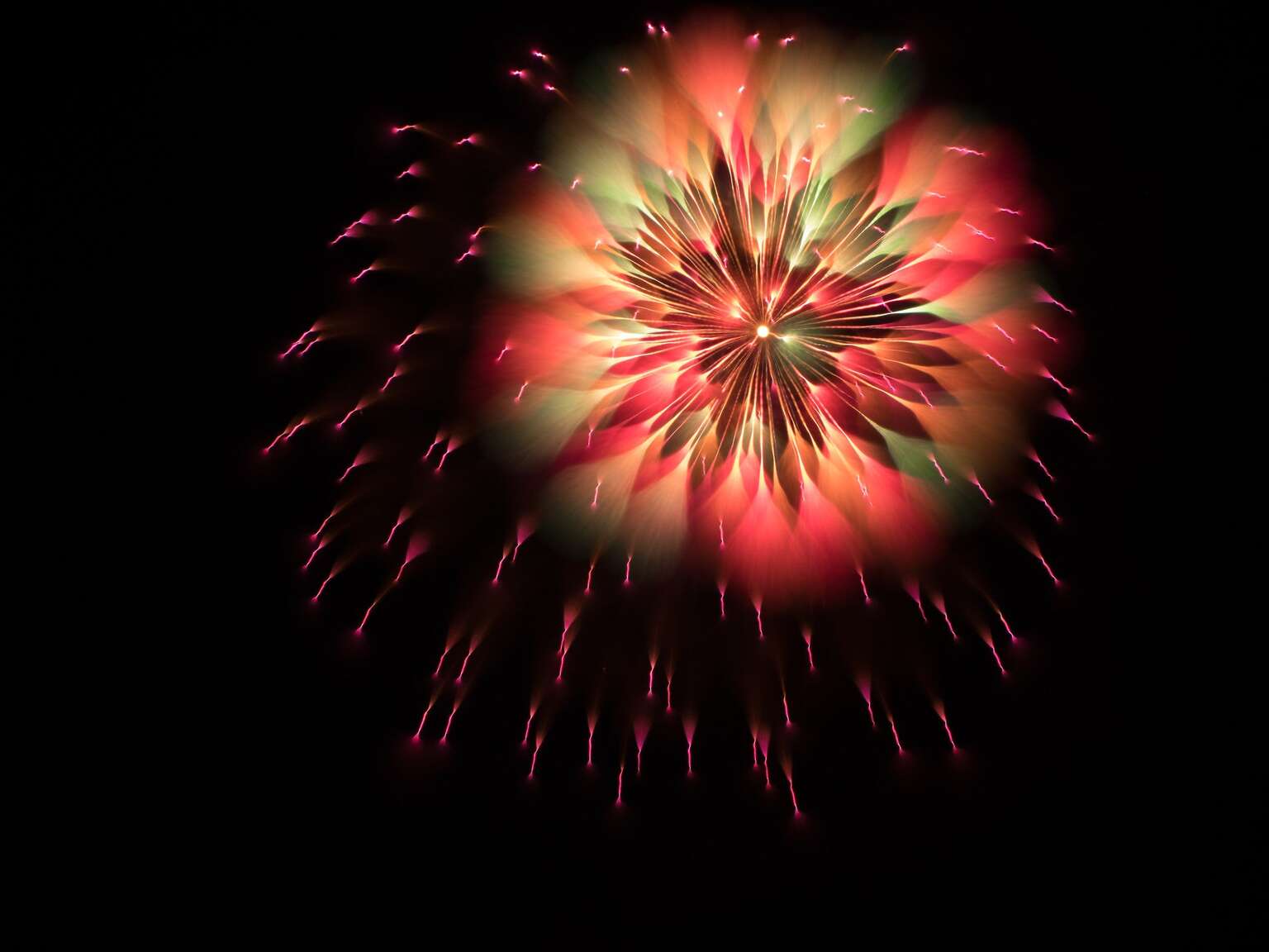 CAPTURE BRILLIANT FIREWORKS PHOTOS | OM SYSTEM