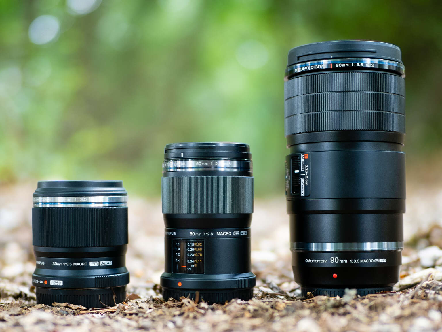 Which Macro Lens is Right for You? | OM SYSTEM
