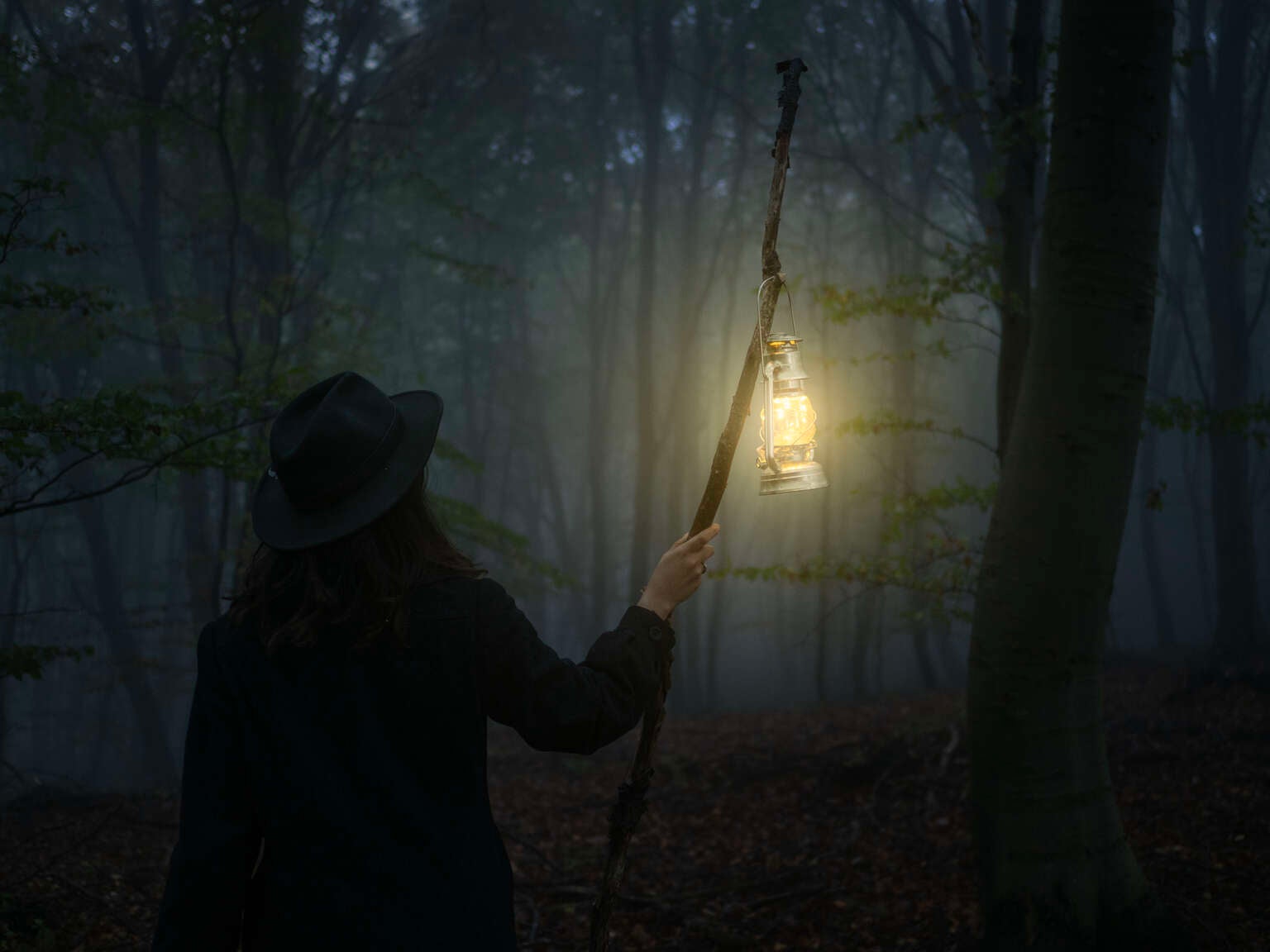 Spooky Portraits in Nature | OM SYSTEM
