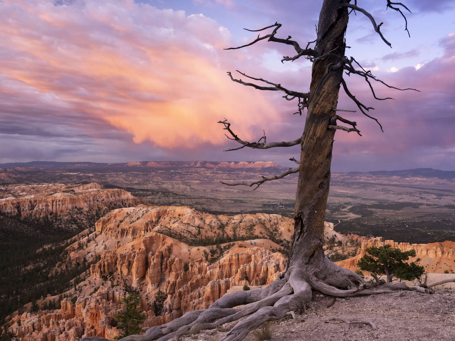 Comet Chasing in Utah’s Canyon Country | OM SYSTEM