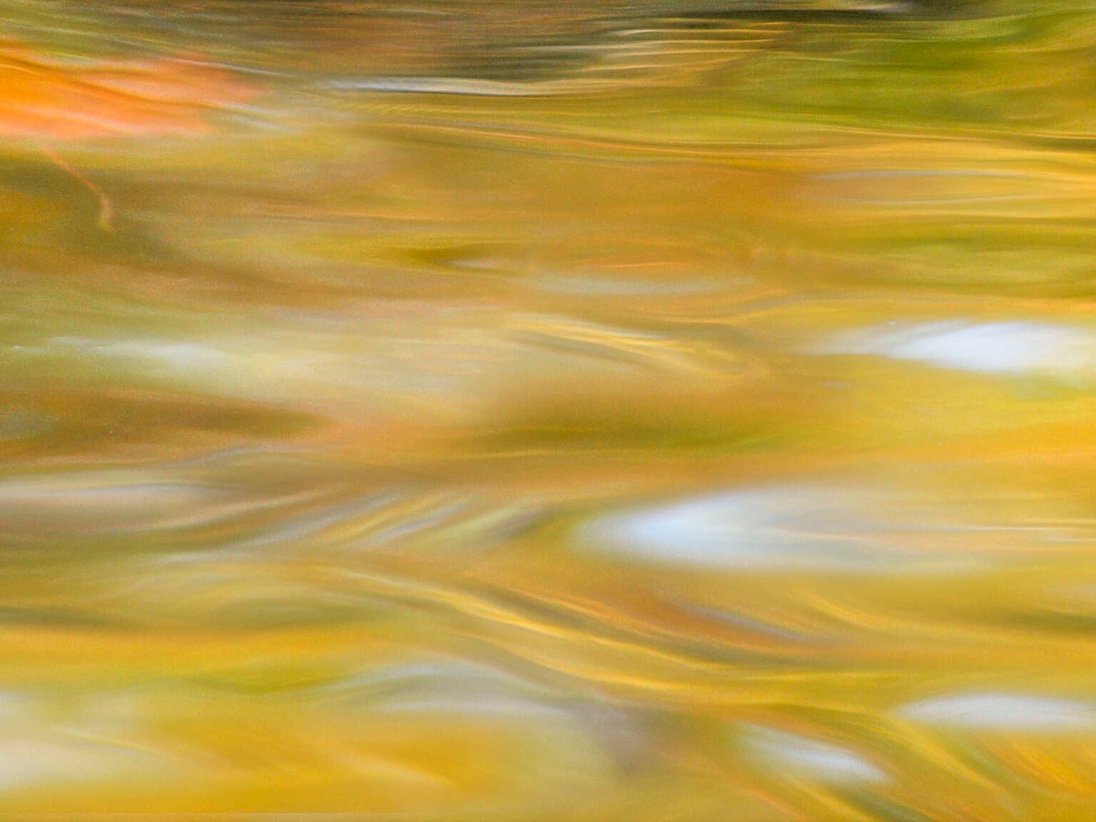 Natural Abstracts in Photography | OM SYSTEM