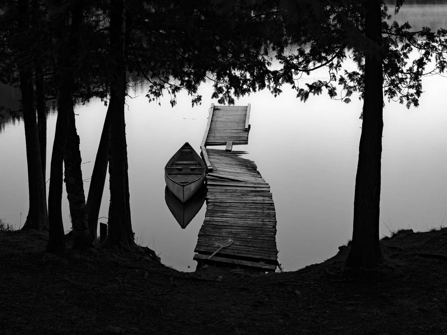 Natural Abstracts in Photography | OM SYSTEM