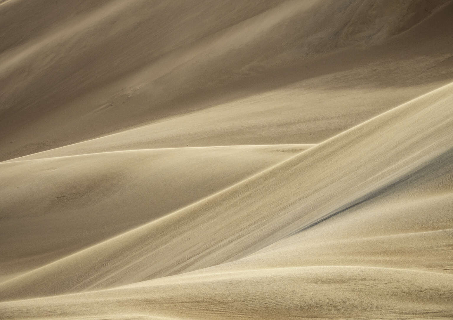 Natural Abstracts in Photography | OM SYSTEM